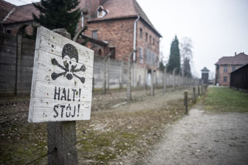 Wroclaw to Auschwitz-Birkenau Private Full-Day Trip by Car - The Experience’s Emotional and Educational Impact