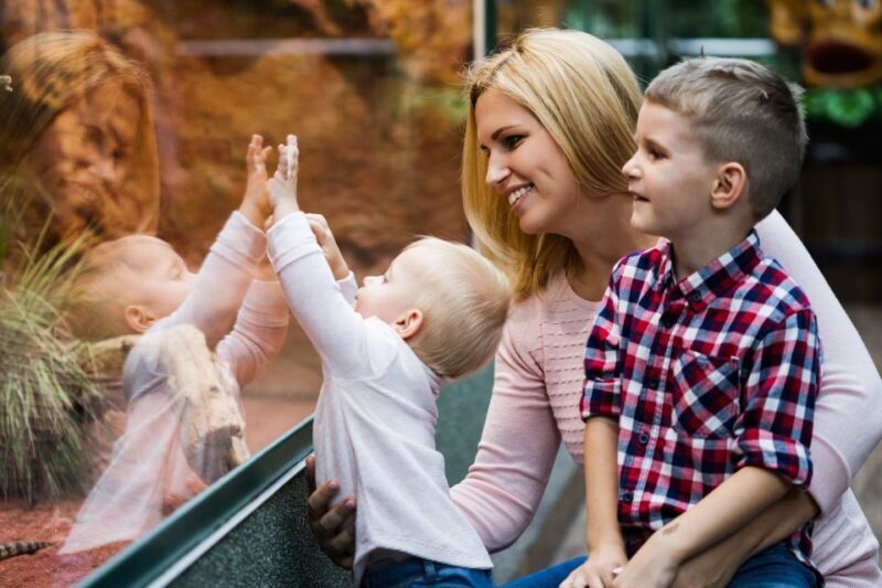 Wroclaw: Zoo with Private Transport and Tickets - Exploring the Wroclaw Zoo: What You Can Expect