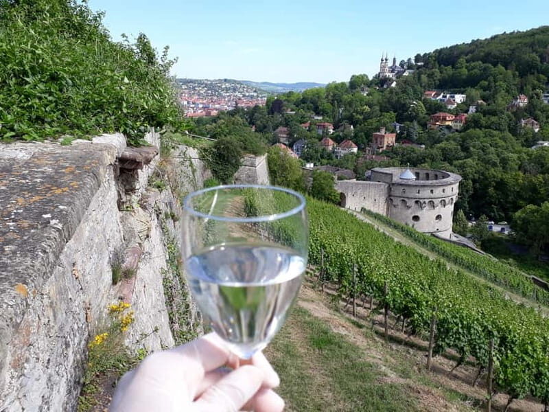 Wuerzburg: Vineyard rally with wine tasting and group dynamics - An In-Depth Look at the Würzburg Vineyard Rally