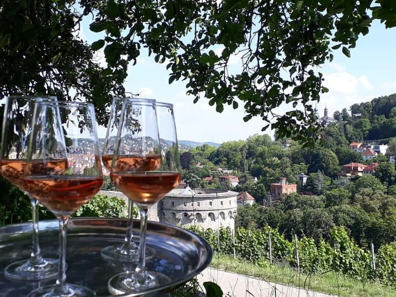 Wuerzburg: Vineyard rally with wine tasting and group dynamics - Final Thoughts: Is This Experience for You?