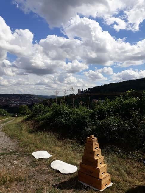 Wuerzburg: Vineyard rally with wine tasting and group dynamics - FAQ