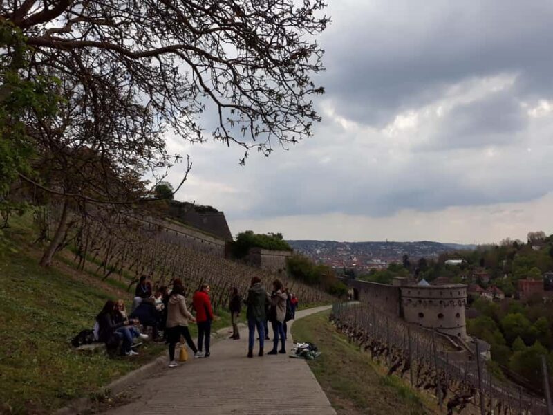Wuerzburg: Wine mountain rally with wine tasting and group dynamics - An In-Depth Look at the Würzburg Wine Mountain Rally