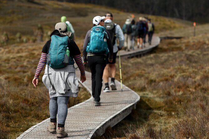 wulinantikala / Cradle Mountain Hiking Tour - 4 Days - Practical Tips for Travelers