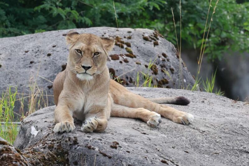Wuppertal: Admission to the Wuppertal Green Zoo - A Close Look at the Wuppertal Green Zoo