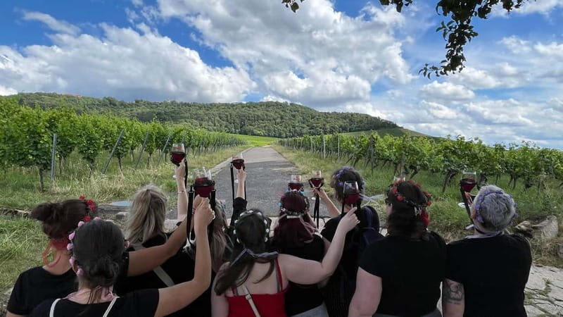 Würzburg: Excursion to the vineyards - enjoyable wine hike & tasting - The Quality of the Guide and the Tour