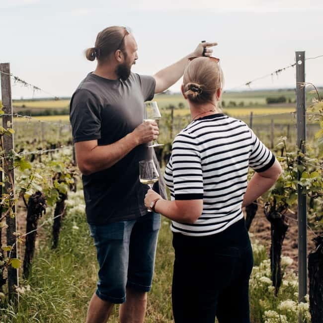 Würzburg: Excursion to the vineyards - enjoyable wine hike & tasting - Practical Tips for Participants
