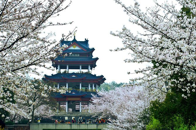 Wuxi Lingshan Buddhist Scenic Spot and Tai Lake Private Tour - The Itinerary Breakdown: What to Expect