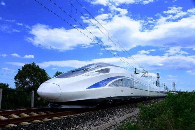 Wuxi Lingshan Buddhist Scenic Spot Private Tour from Shanghai by Bullet Train - The Real Benefits for Travelers