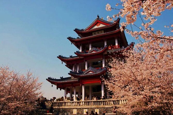 Wuxi Private Day Tour from Shanghai by Bullet Train with Drop-off Option - Key Points