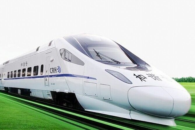 Wuxi Private Flexible Day Tour from Shanghai by Bullet Train - Practical Tips for Travelers