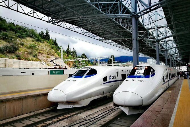 Wuzhen Water Town 2-Day Tour by Bullet Train from Shanghai - The Itinerary in Detail