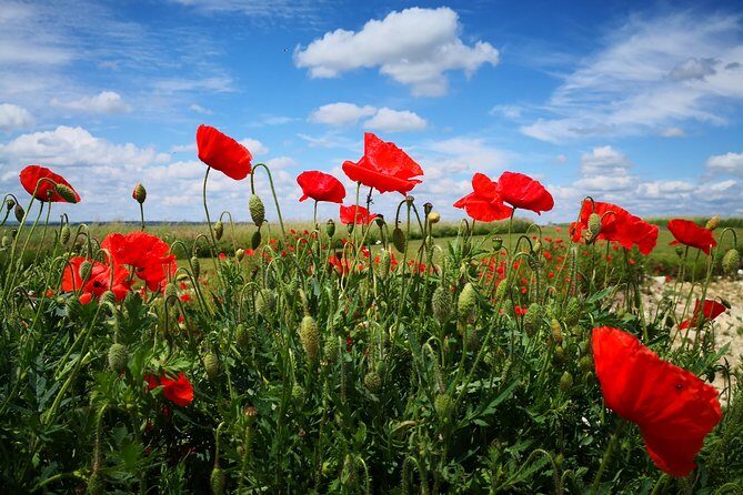 WW1 Australians in the Somme -Villers Bretonneux, Le Hamel - Day trip from Paris - Who Should Consider This Tour?