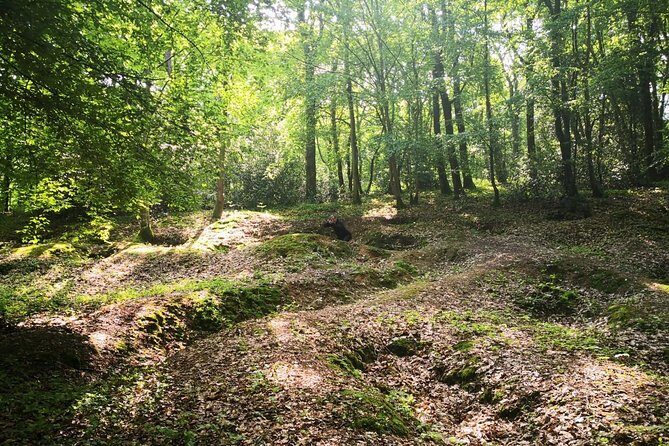 WW1 Belleau Wood and American Monument in Château-Thierry - Day trip from Paris - German Cemetery: Honoring the Other Side