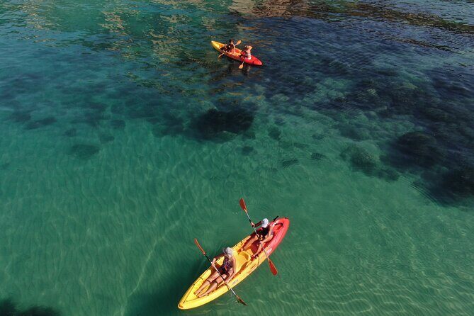 WWF Kayak Tour from Cala Manbrù to Torre Salsa Reserve - Who Will Love This Tour?