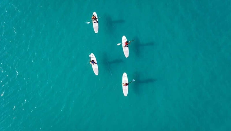 WWF TOUR alla Riserva Naturale di Torre Salsa in SUP - What’s Included and What to Expect