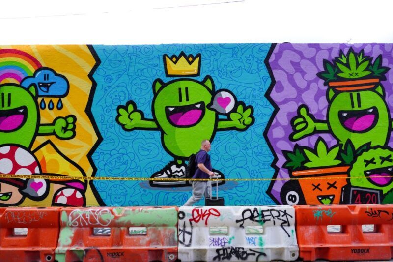 Wynwood Art District 1-Hour Wynwood Buggies Street Art Tour - What You Won’t Get