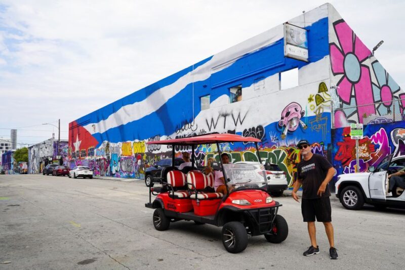 Wynwood Art District 1-Hour Wynwood Buggies Street Art Tour - Is It Worth It?