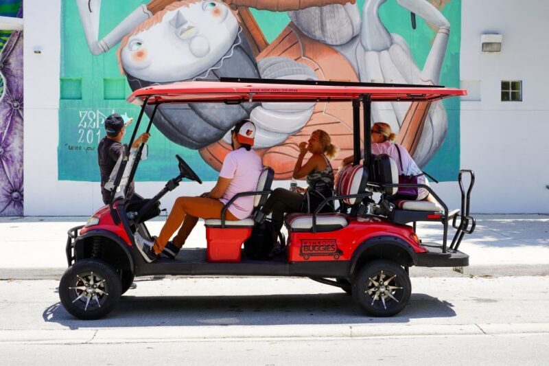 Wynwood Art District 1-Hour Wynwood Buggies Street Art Tour - Who Should Consider This Tour?