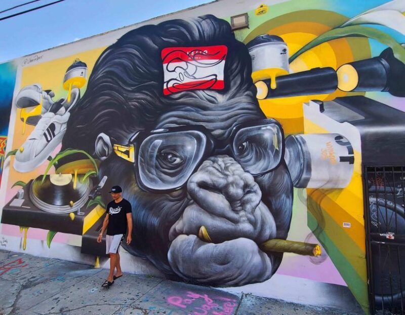 Wynwood walking tour in French (2h) - Practical Details and Value