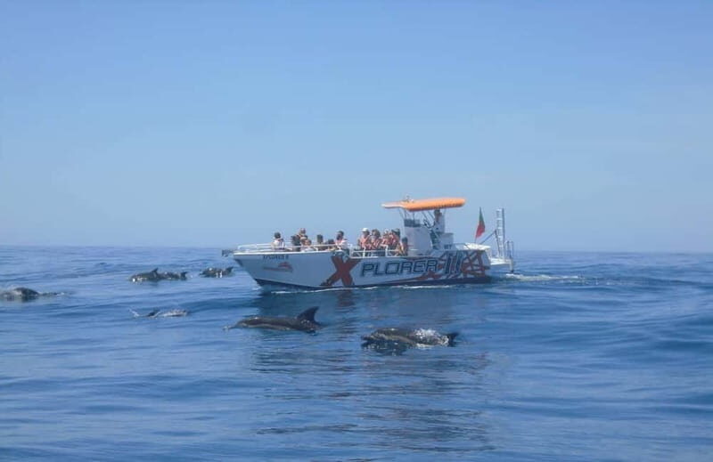 X Plorer  Caves (Benagil) & Dolphins Cruise - Key Points