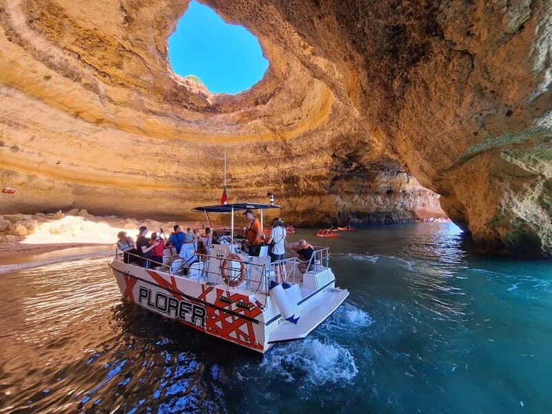 X Plorer  Caves (Benagil) & Dolphins Cruise - Marine Wildlife and Dolphin Sightings