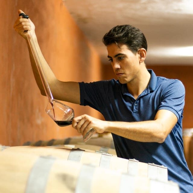 Xalo: Vineyard Tour with Wine Tasting and Snacks - Who Will Love This Tour?