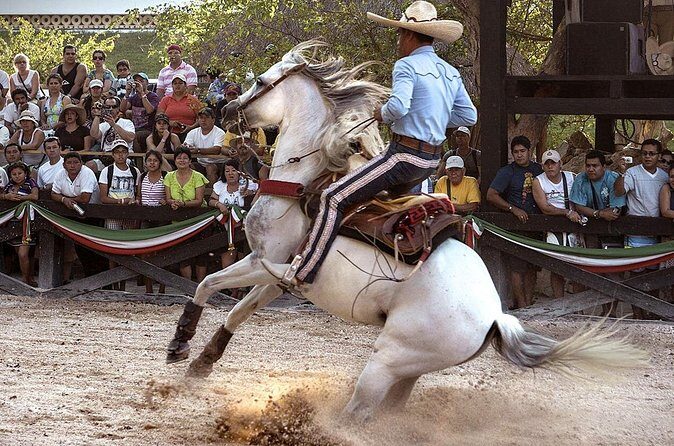 Xcaret Park Day Tour & Night Show with Transportation - Authentic Experiences and Hidden Gems