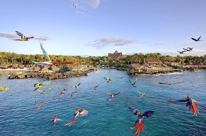 Xcaret Park Day Tour & Night Show with Transportation - The Long Day: Managing Expectations