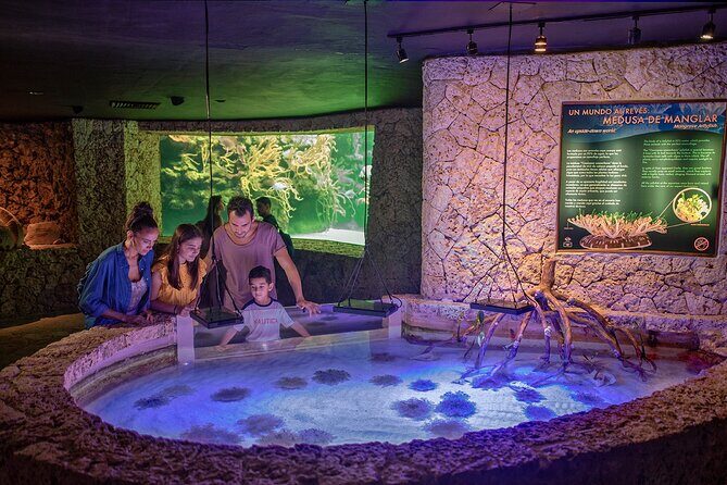 Xcaret Park Day Trip, transportation and Cultural Night Show - Introduction: What to Expect from the Tour