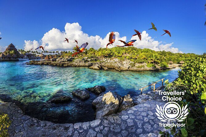 Xcaret Park Day Trip, transportation and Cultural Night Show - Summary: Who Should Consider This Tour?