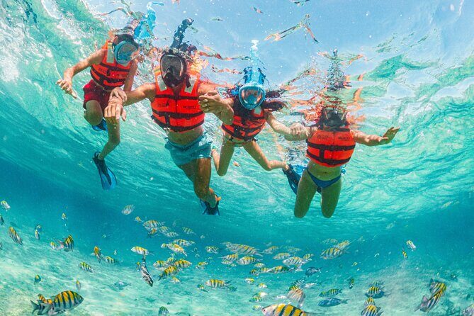 Xcaret Park Day Trip, transportation and Cultural Night Show - FAQs