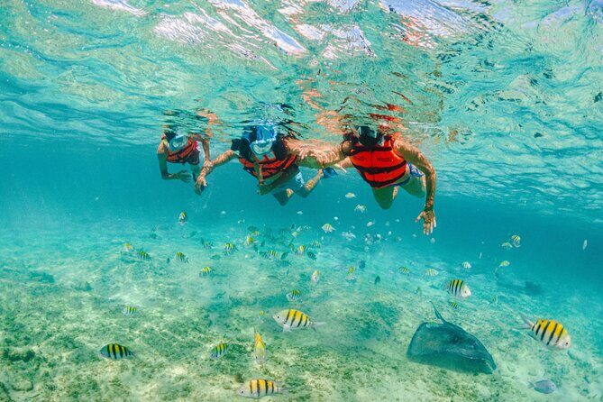Xcaret Park Entry Tickets with Cultural Night Show Included - FAQ