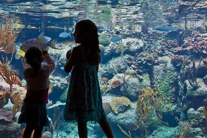 Xcaret Park Plus Access with Transportation and Night Show - FAQ