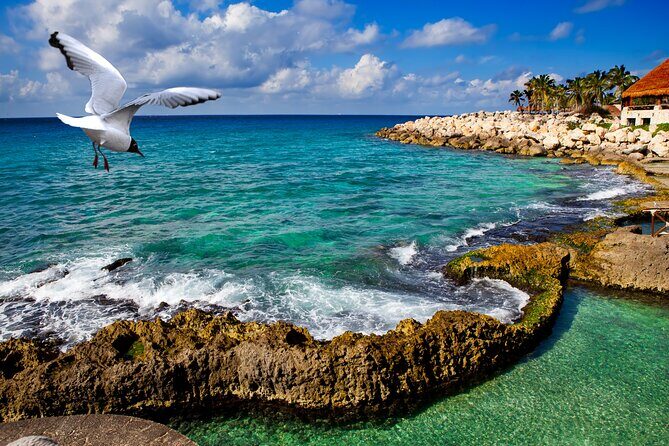 Xcaret Park Plus Tour! Nature, Culture and Nightshow from Cancun - Dining and Refreshments
