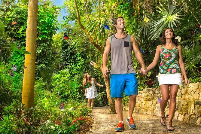Xcaret Park Plus With Round Transportation From Cancun & Riviera Maya - Final Thoughts: Is It Worth It?