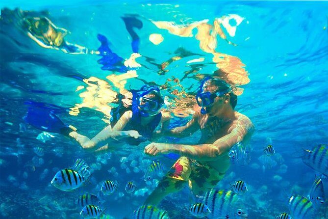 Xcaret Plus Park Tour with Transportation from Riviera Maya - Final Thoughts: Is This Tour for You?