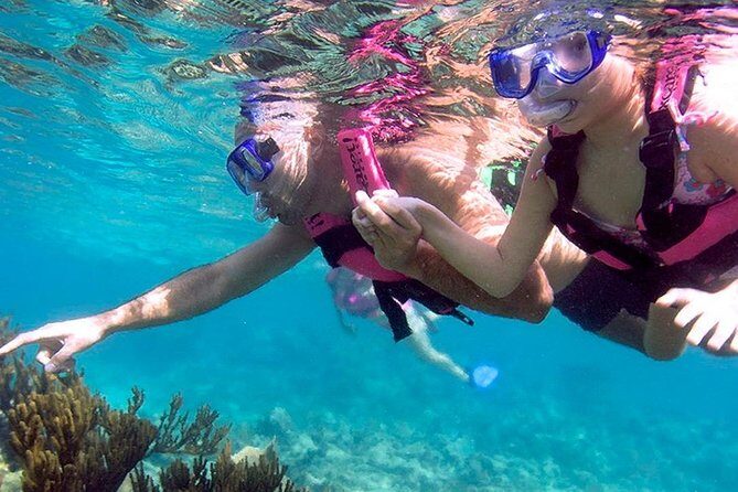 Xcaret Plus Tour & Swim in the Underground River only from Tulum - A Detailed Look at the Itinerary