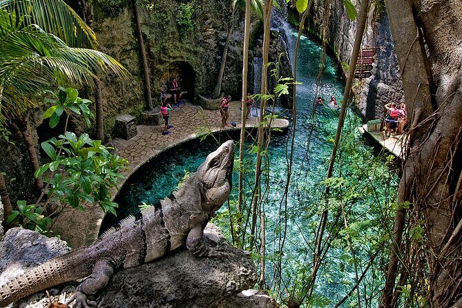 Xcaret Plus! Transportation Included from Cancun & Riviera Maya - The Sum Up