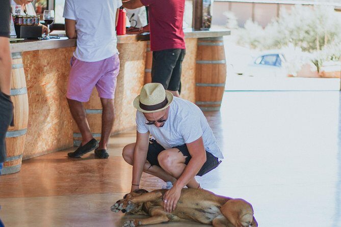 Xecue Wine Tasting in the Guadalupe Valley - Value for Money and Practicalities