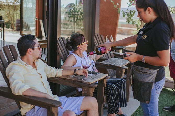 Xecue Wine Tasting in the Guadalupe Valley - Who Is This Tour Best For?