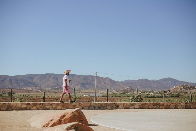 Xecue Wine Tasting in the Guadalupe Valley - FAQs