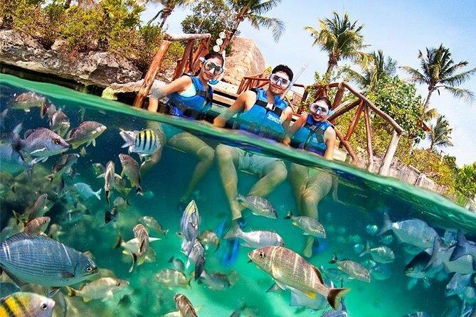 Xel-Ha All Inclusive Admission Ticket - Who Should Consider This Experience?