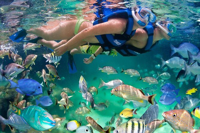 Xel ha All Inclusive - Key Points