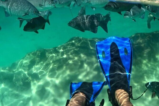 Xel-ha All Inclusive Tour - An In-Depth Look at Xel-Há: What to Expect