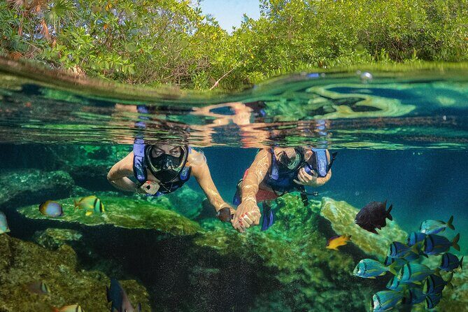 Xel-Ha Park Admission Tickets - The Heart of Xel-Ha: A Natural Aquarium