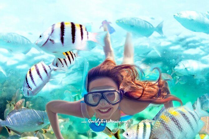 Xelha water park with transportation - The Practical Side: What You Need to Know