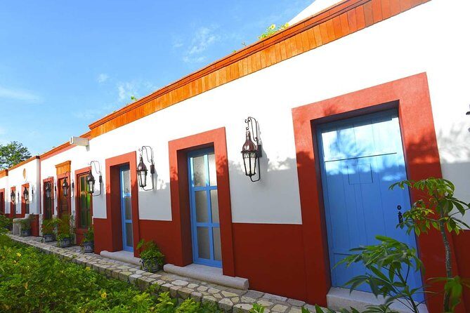 Xenses Ticket - What We Love About Xenses