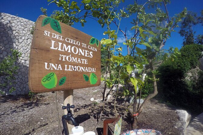 Xenses Tour Explore Magic Town from Riviera Maya Playa del Carmen - Value for Money and Additional Details