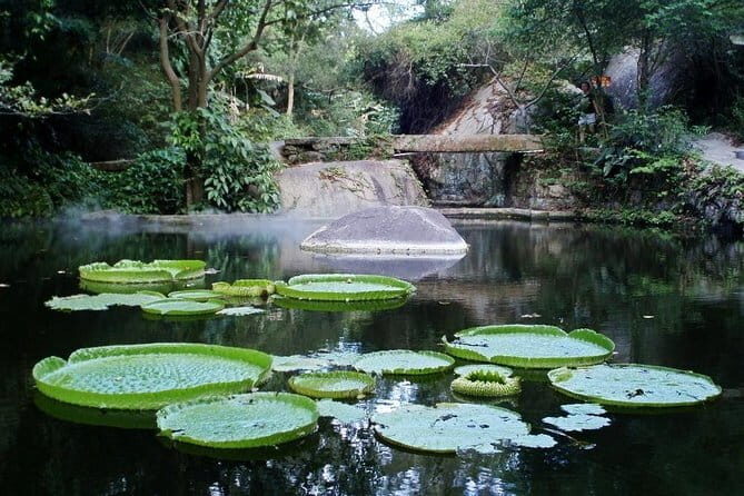 Xiamen Private Day Tour Include Gulangyu Island and Botanic Garden - Discovering Gulangyu Island