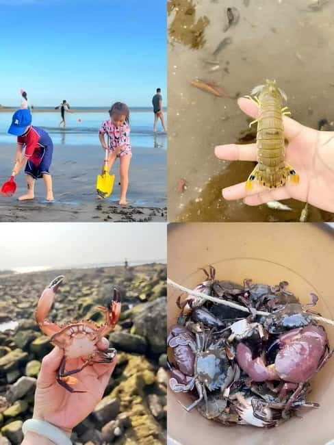 Xiamen: Sailing & Sea Experience. - Who Would Enjoy This?